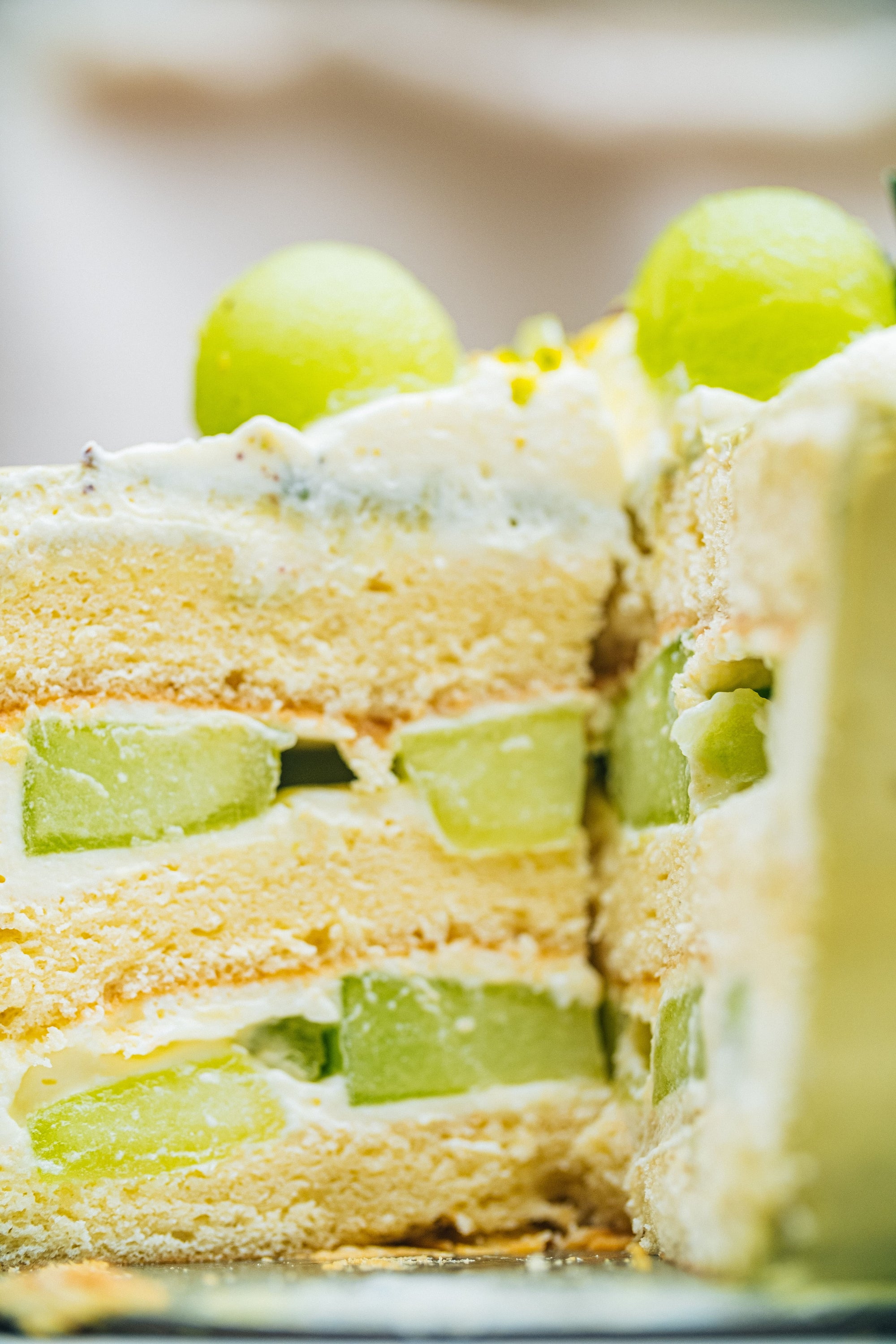 Shop All | Little Cake Box